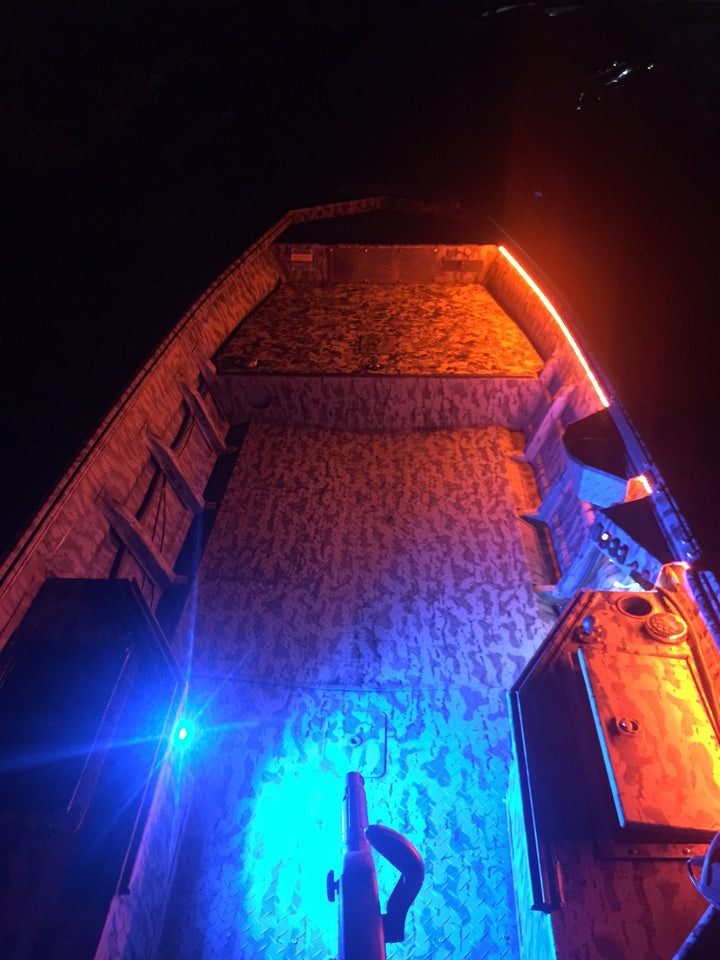 SeeLite Double Trouble Lighting